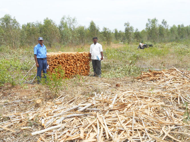 FSC® Certification | Forest Stewardship Council® Certification